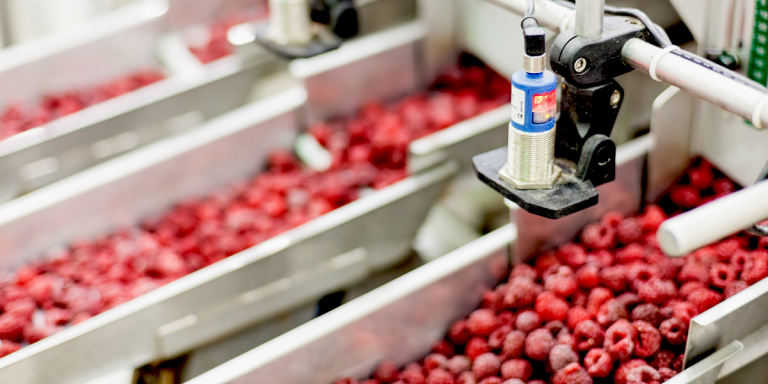 Know the future of the Engineering in Food Industries – Engineers Network