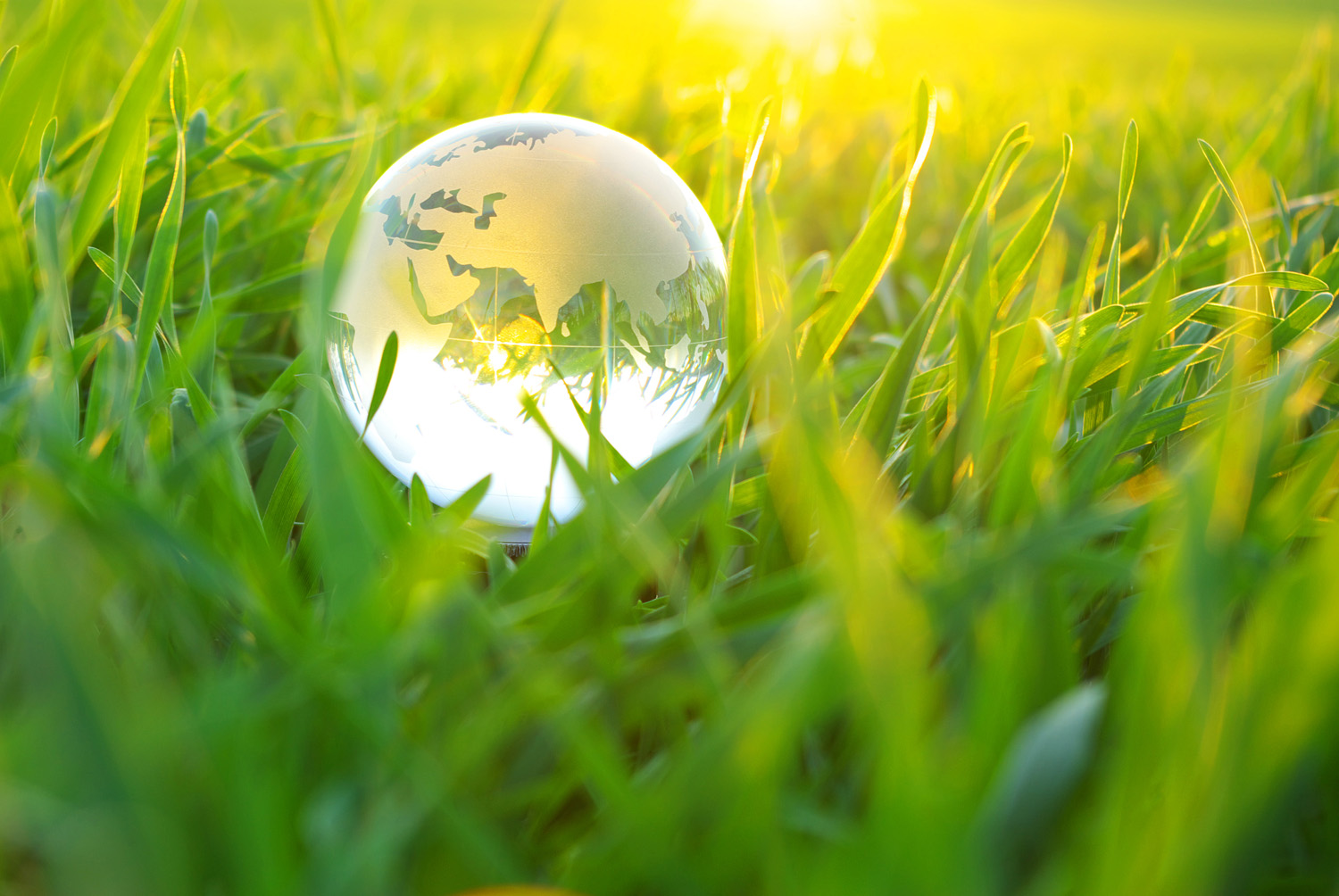 Reasons To Study Environmental Engineering Engineers Network