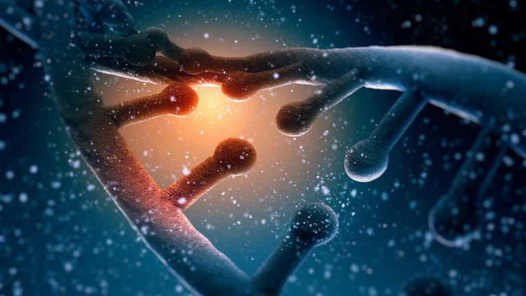 10 things to know about genetic engineering – Engineers Network