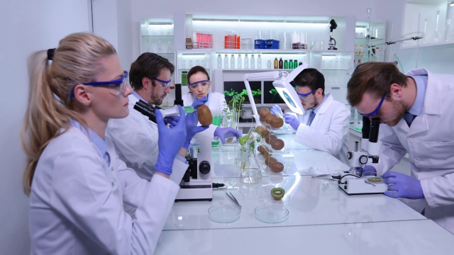 Six types of engineers – Engineers Network
